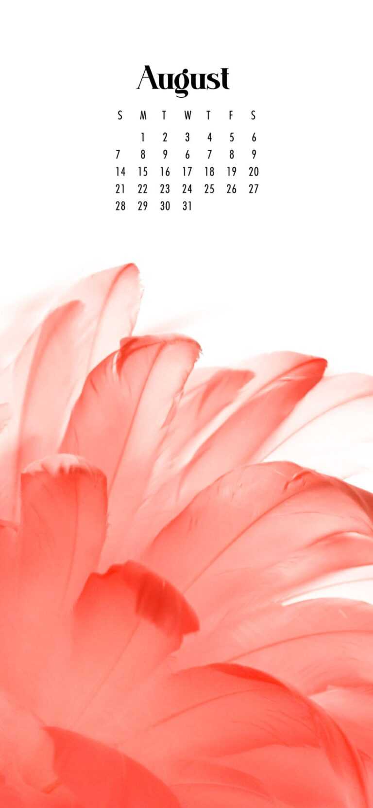 2022 August Calendar Wallpaper - iXpap