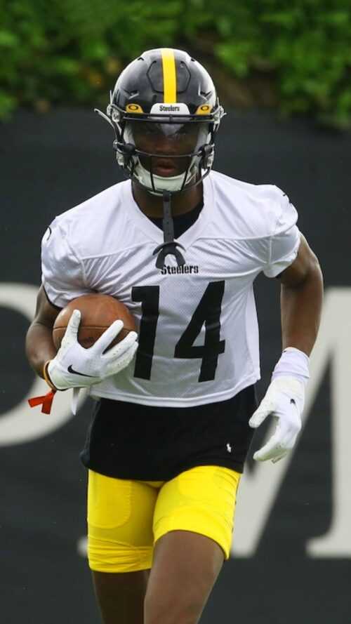 George Pickens Wallpaper - iXpap