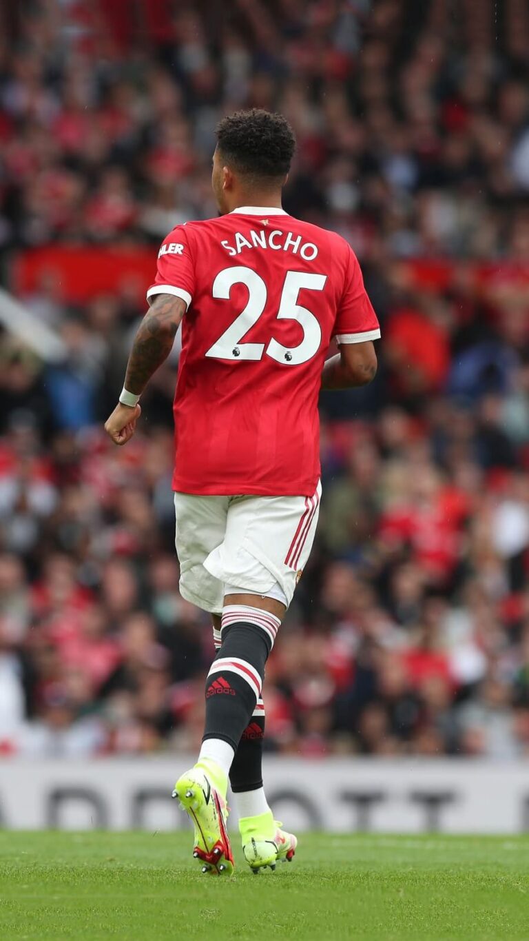 Sancho Wallpaper - iXpap