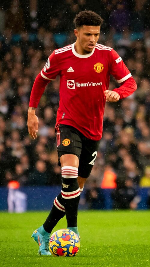 Sancho Wallpaper - iXpap