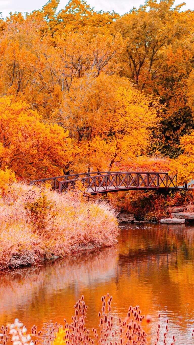 Fall Themed Wallpaper - iXpap