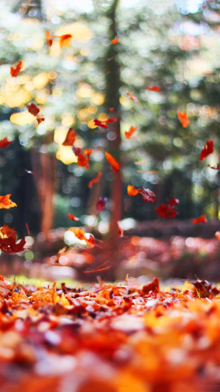 Fall Themed Wallpaper - iXpap