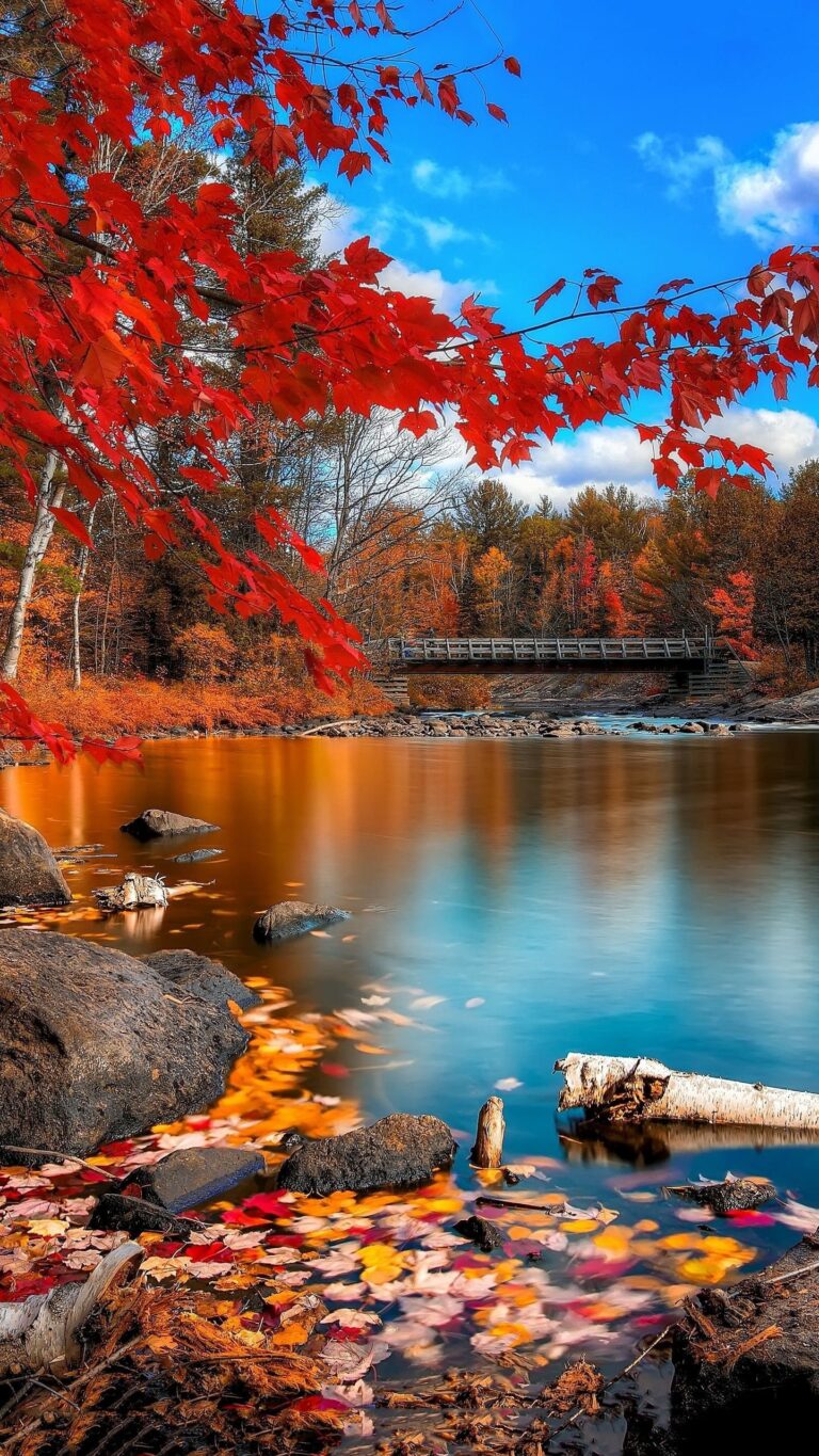 Fall Themed Wallpaper - iXpap