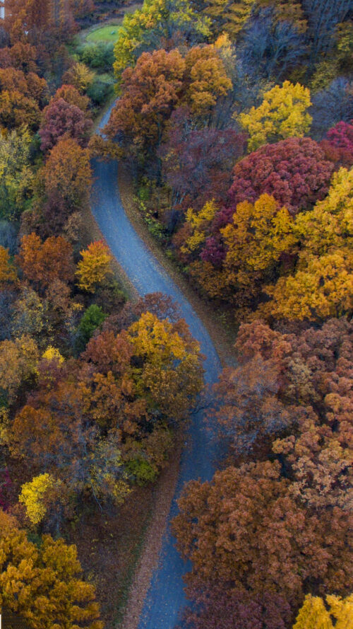 Fall Themed Wallpaper - iXpap