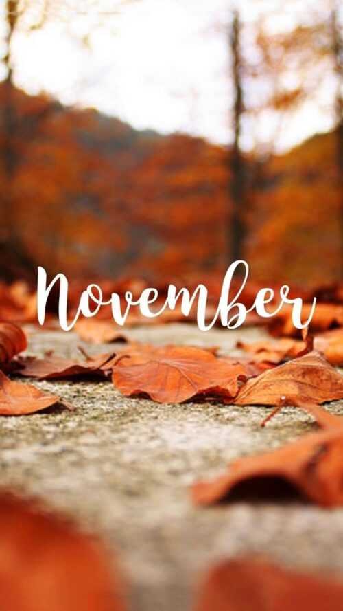November Wallpaper - iXpap