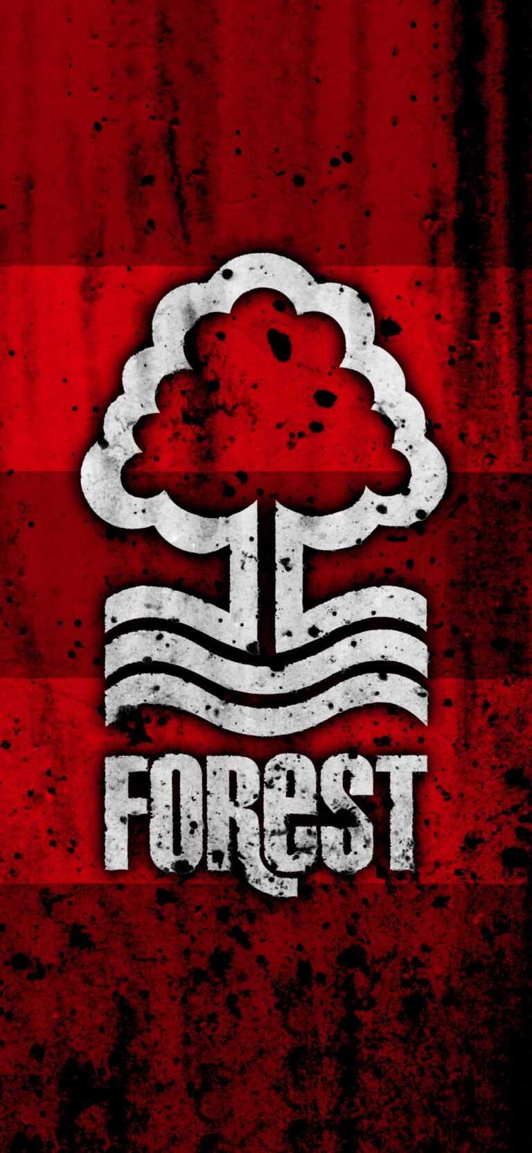 Nottingham Forest Wallpaper - iXpap