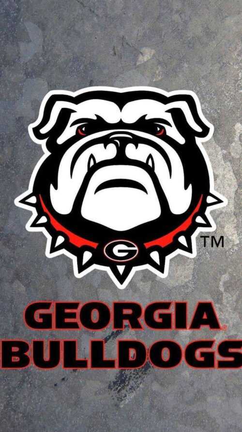 Georgia Football Wallpaper - iXpap