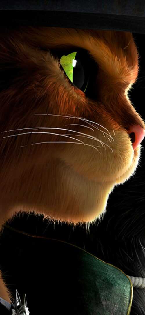 Puss In Boots Wallpaper Ixpap