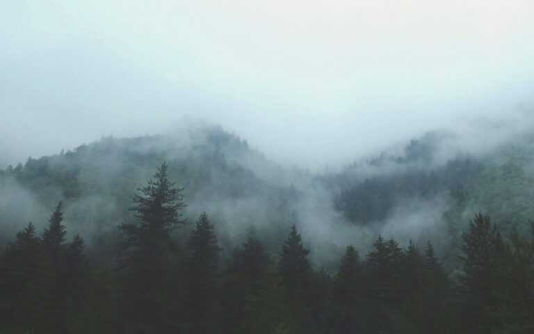 Fog Wallpaper - iXpap