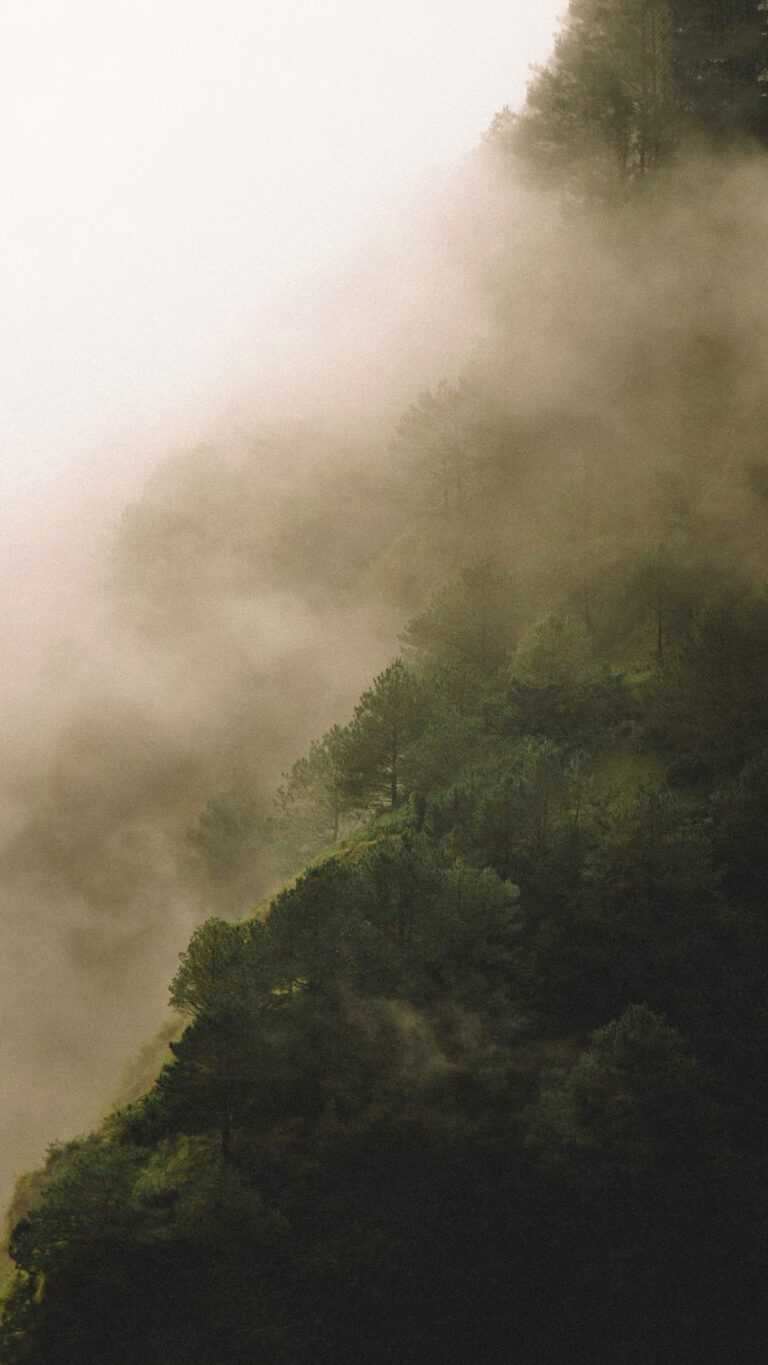 Fog Wallpaper - iXpap