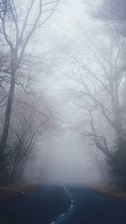 Fog Wallpaper - iXpap