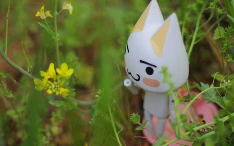 Toro Inoue Wallpaper - iXpap