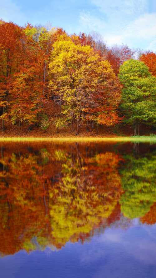 Fall Themed Wallpaper - iXpap