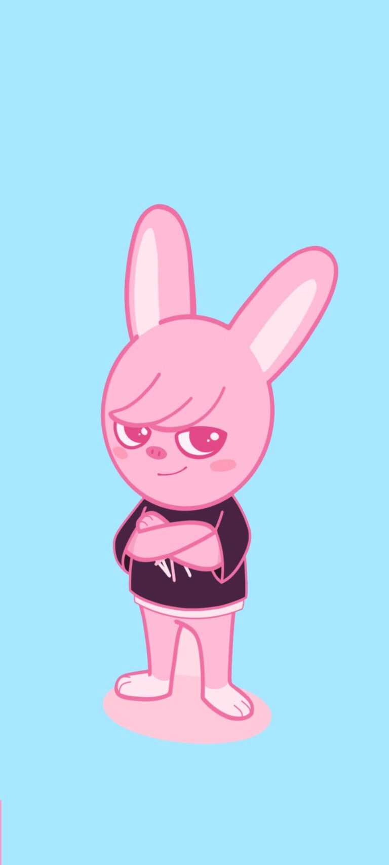 SKZoo Wallpaper - iXpap