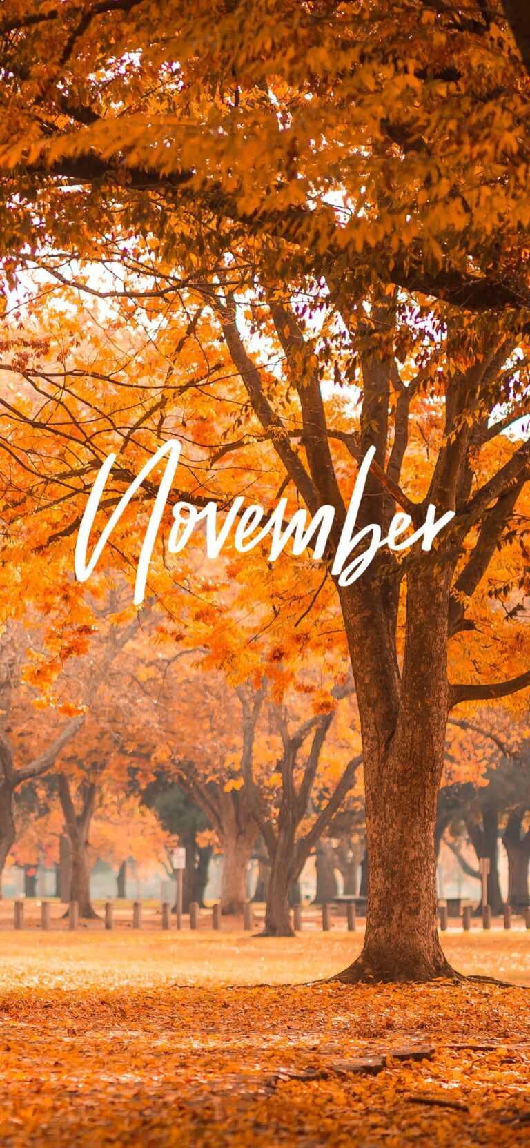 Hello November Wallpaper - iXpap