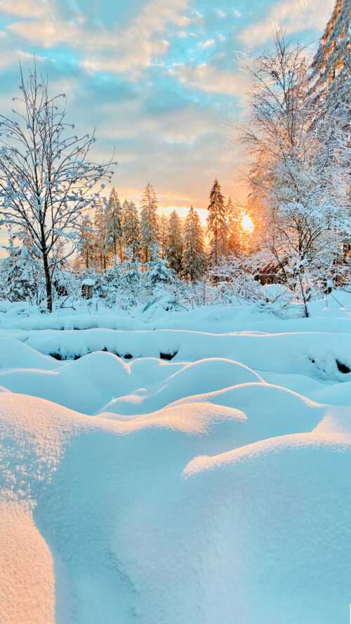 Winter Scene Wallpaper - iXpap