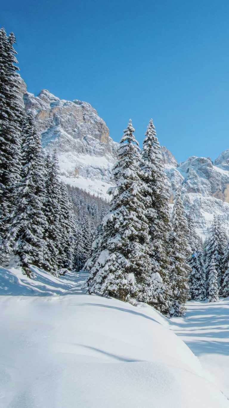 Winter Scene Wallpaper - iXpap
