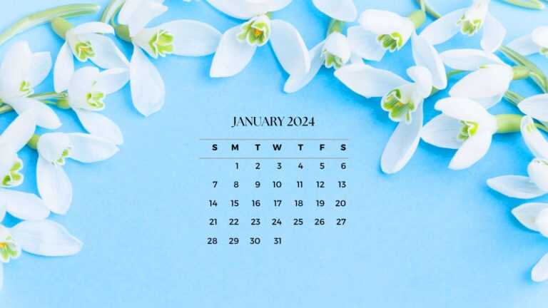 January 2024 Desktop Calendar Wallpaper - iXpap