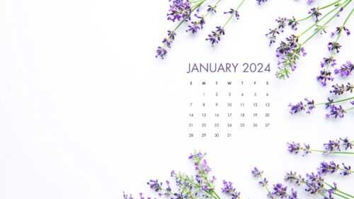 January 2024 Desktop Calendar Wallpaper - iXpap