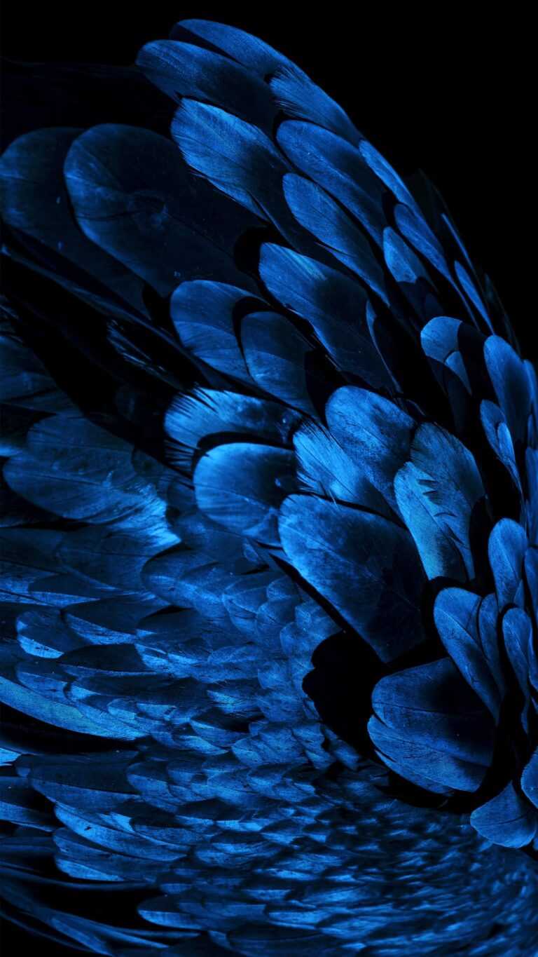 Truck Wallpaper - iXpap