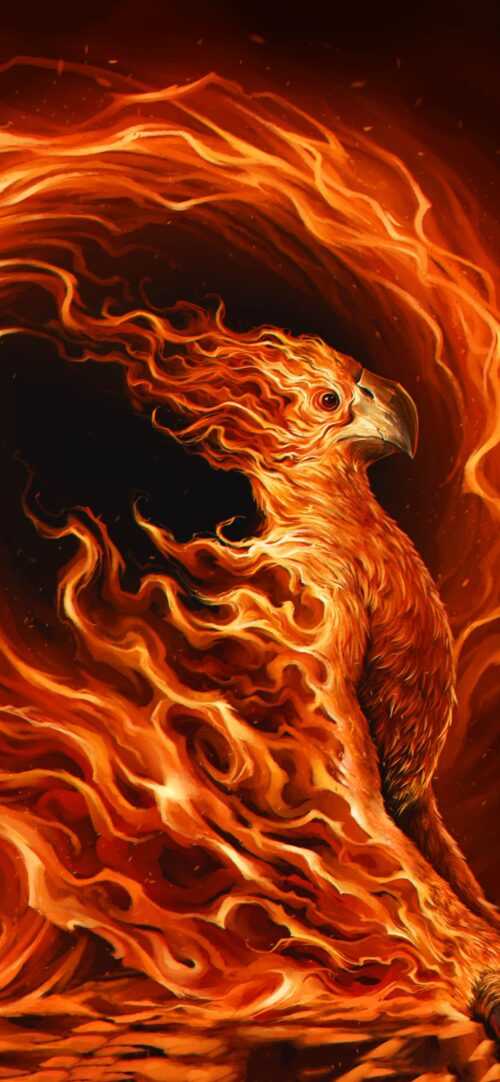 Phoenix Bird Wallpaper - iXpap
