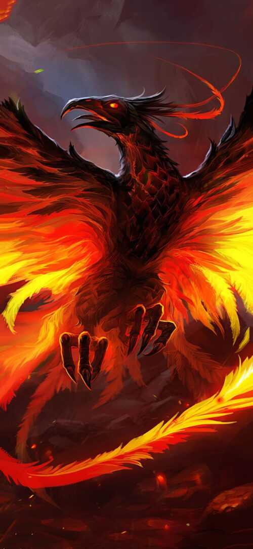 Phoenix Bird Wallpaper - iXpap