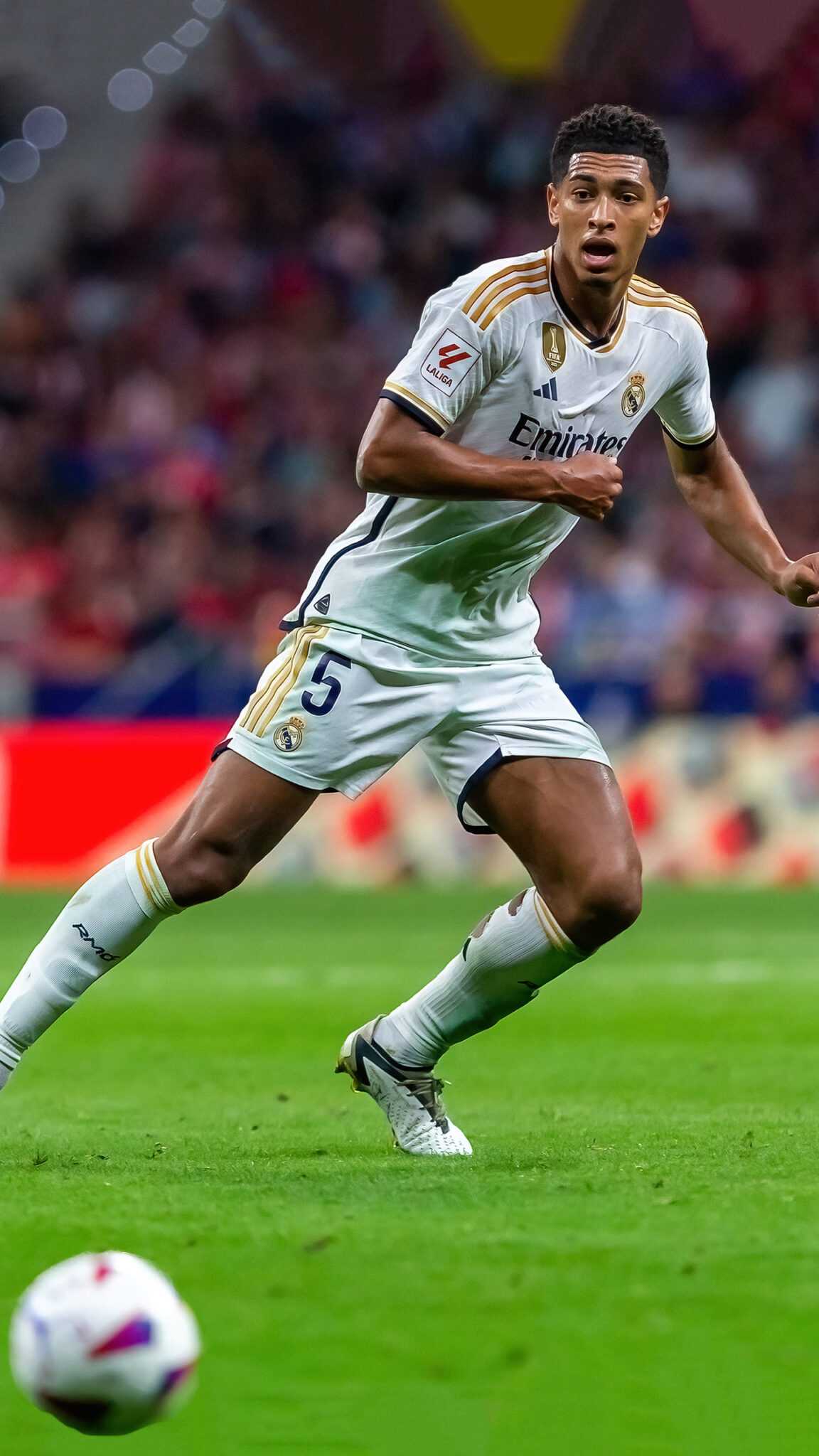 Bellingham Wallpaper - iXpap