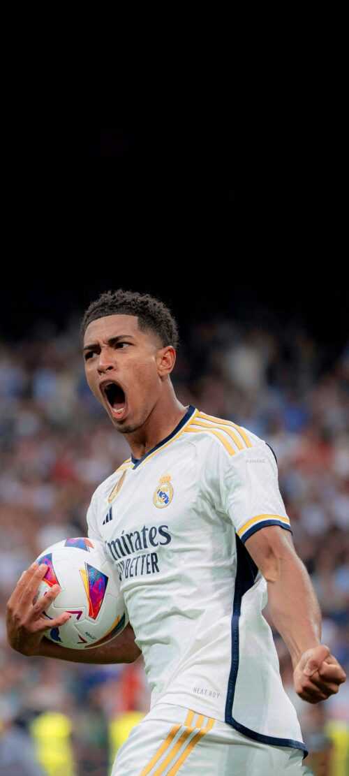 Bellingham Wallpaper - iXpap