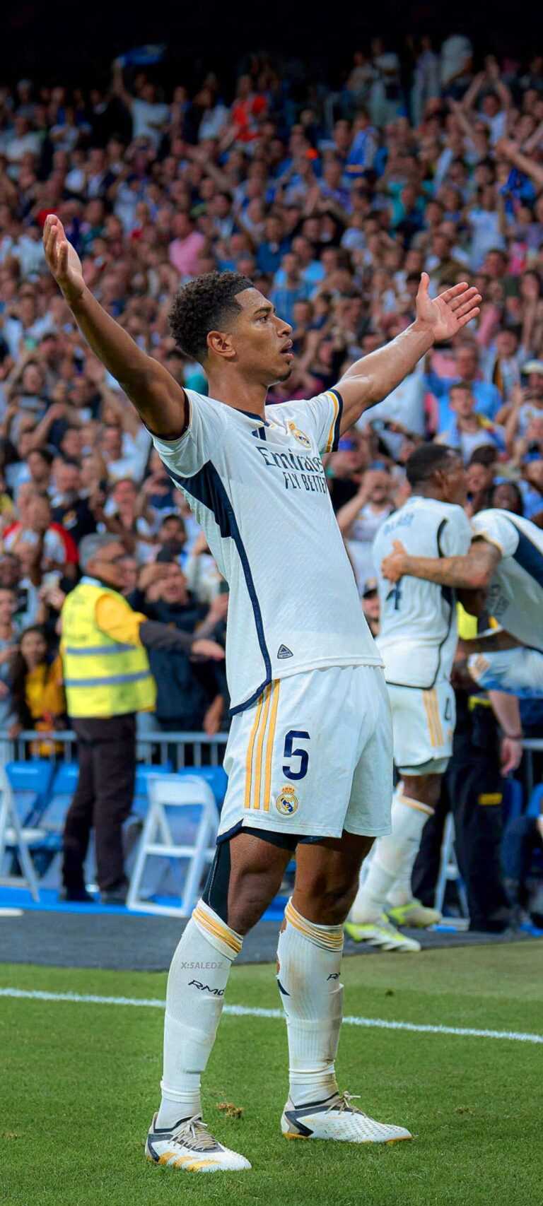 Bellingham Wallpaper - iXpap