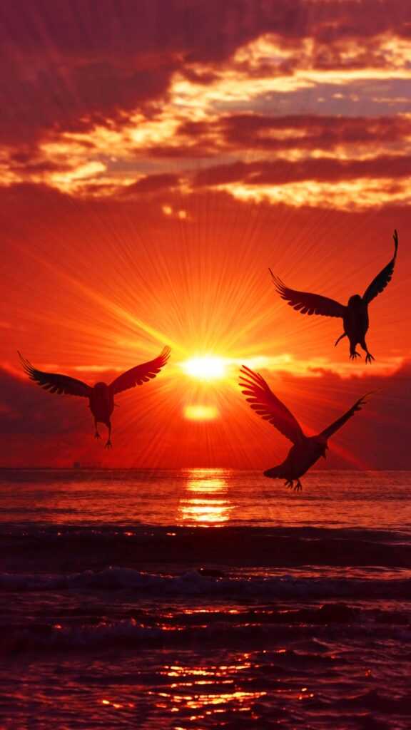 Rising Sun Wallpaper - iXpap