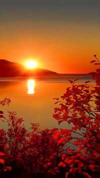 Rising Sun Wallpaper - iXpap