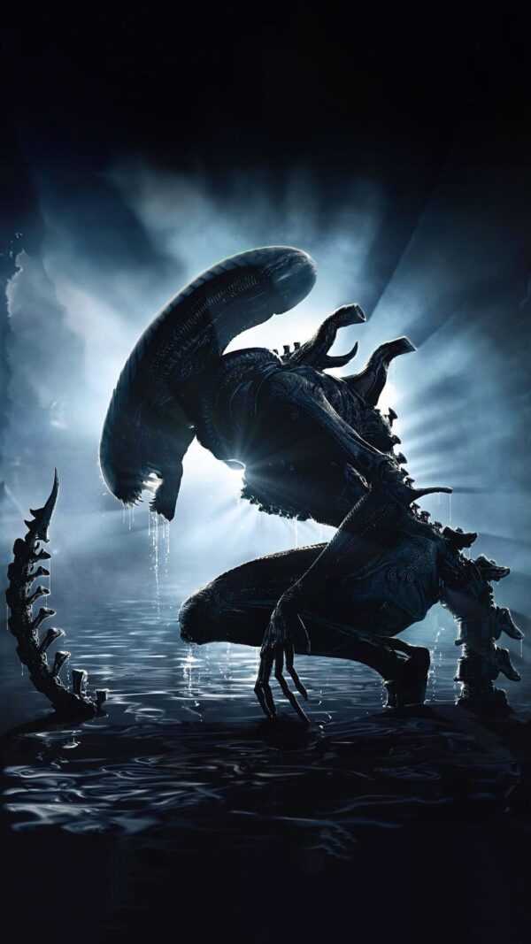 Alien Romulus Wallpaper - iXpap