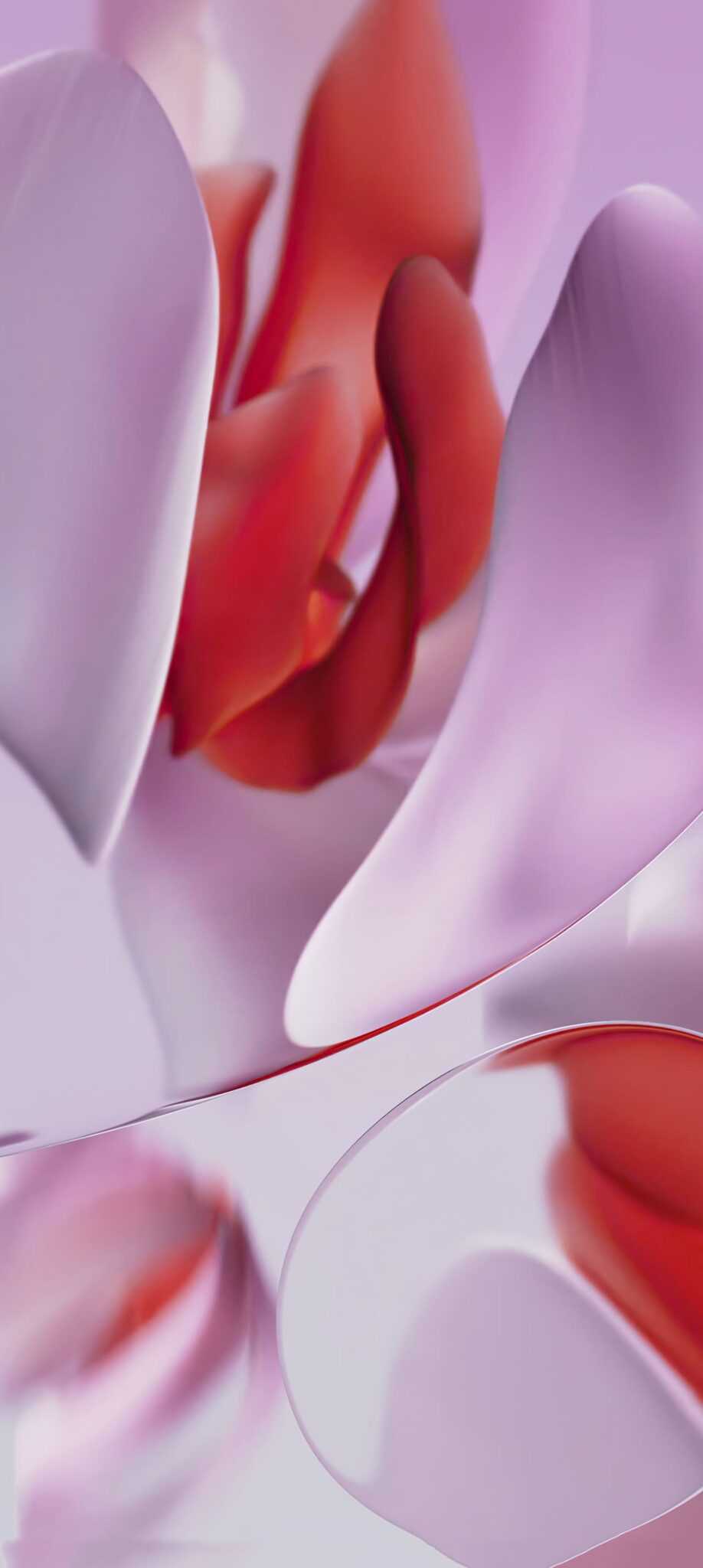 Pixel 9 Pro Wallpaper - iXpap