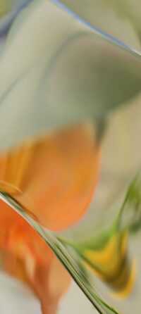 Pixel 9 Pro Wallpaper - iXpap