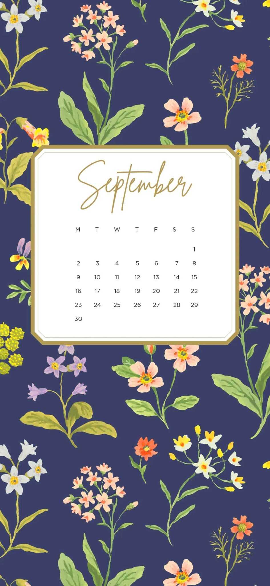 September 2024 Wallpaper - iXpap
