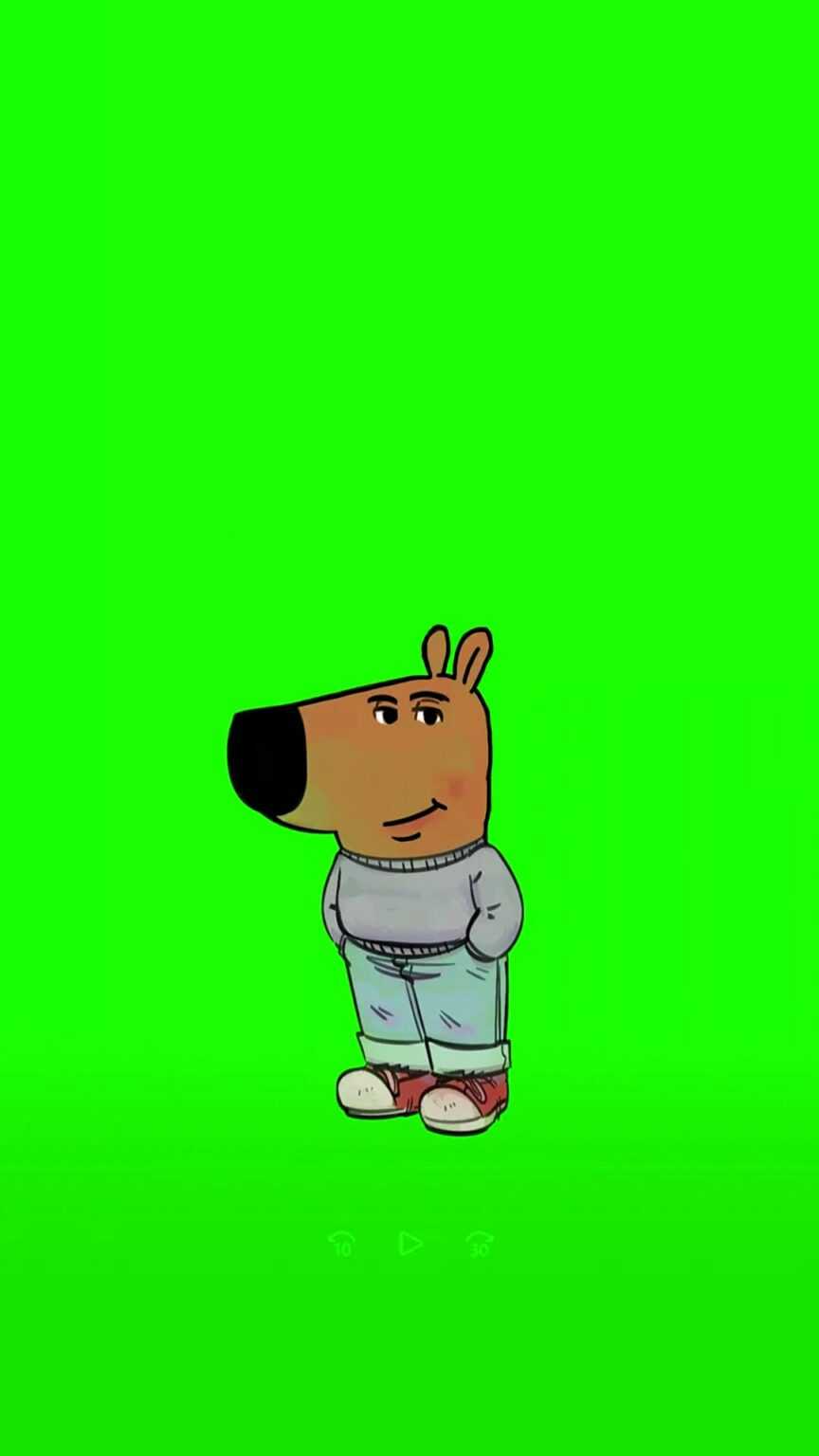 Chill Guy Wallpaper - iXpap