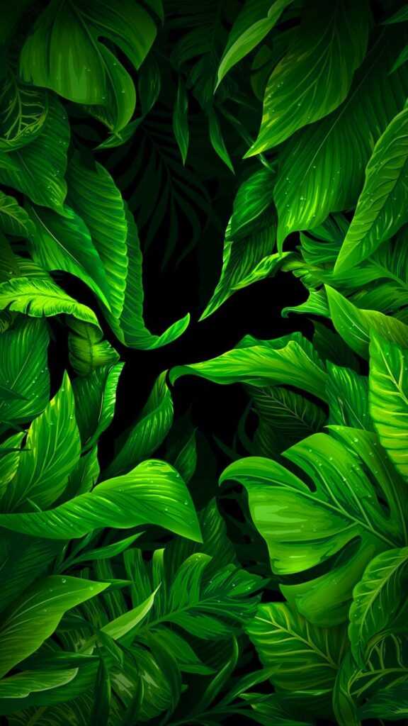 Green Leaves Wallpaper - iXpap