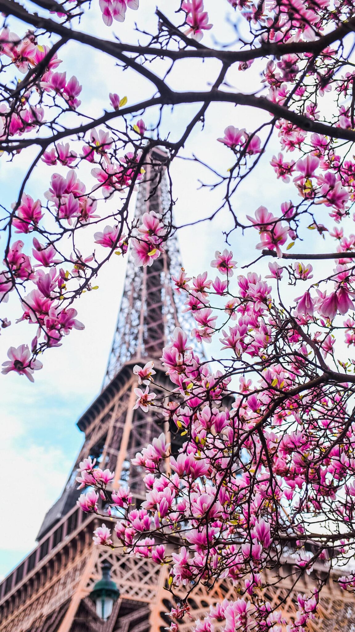 Frühling Wallpaper - iXpap