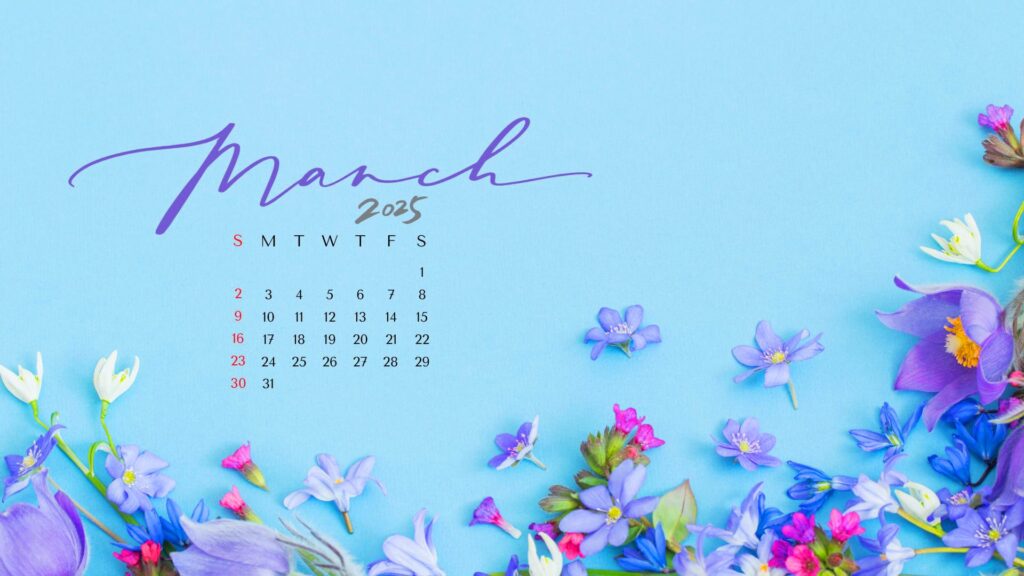 March 2025 Wallpaper - iXpap