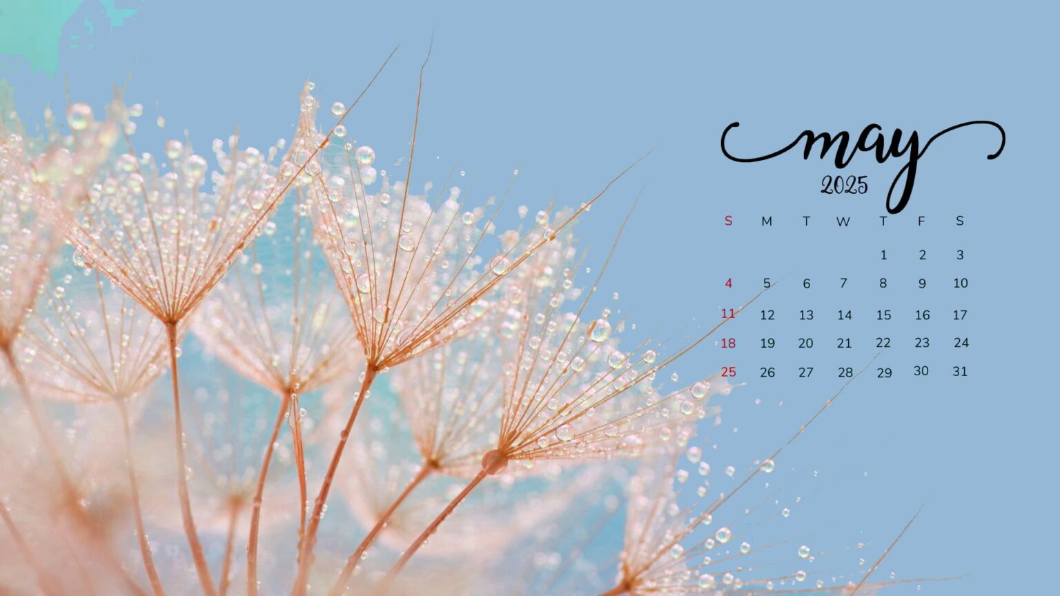 May 2025 Wallpaper - iXpap