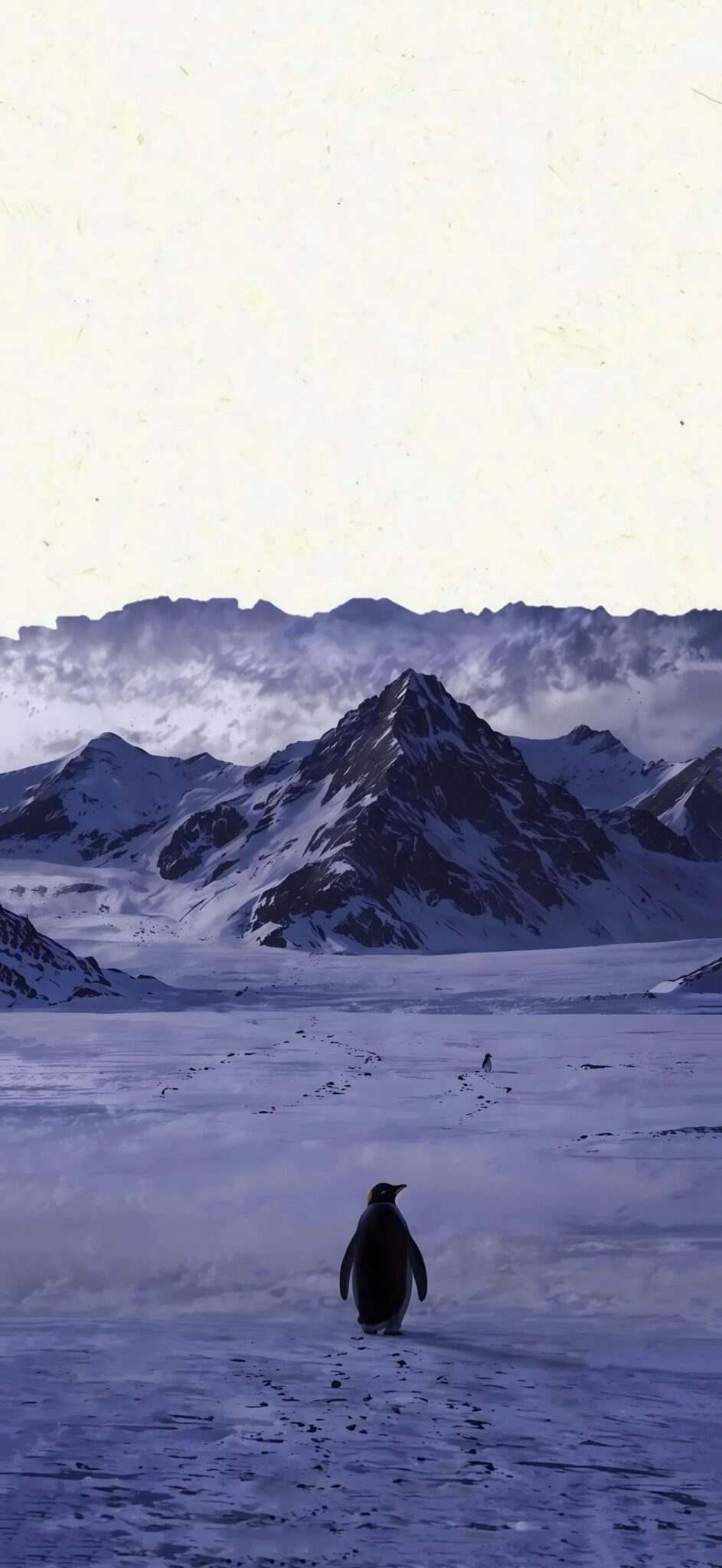 Penguin Mountain Wallpaper - iXpap